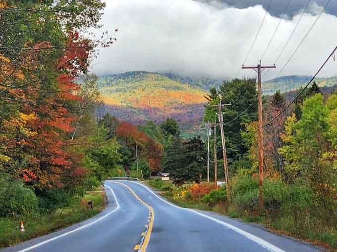 Fall colors explode across misty peaks as the road curves ahead, making every driver suddenly understand why leaf-peepers exist.