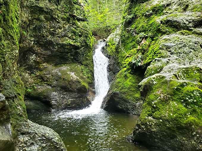 Moss-draped rocks glow emerald green as water shoots through the narrow gap like nature's own fire hose.
