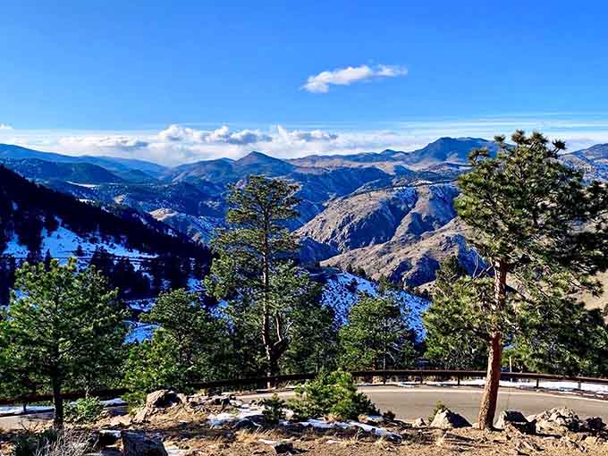 Pine trees frame mountain vistas from this scenic overlook where the air tastes crisp and views stretch forever.