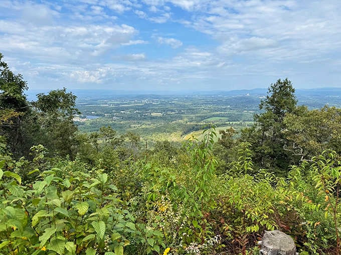 Mountain vistas unfold below like a living map painted in every shade of green.