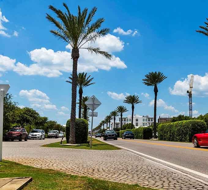 Palm trees stand tall like sentries along this perfectly manicured boulevard where cobblestone details add unexpected European elegance.