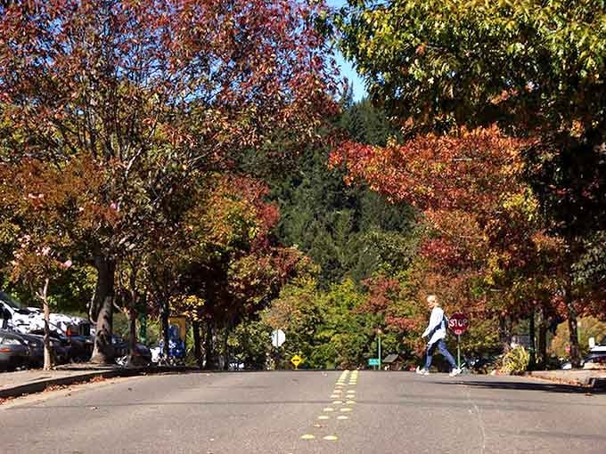 Autumn transforms ordinary streets into postcards, with trees showing off their finest reds, golds, and burnt oranges.