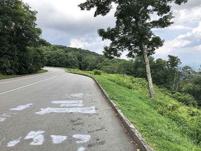 North Carolina's scenic Upper Yadkin Way offers you breathtaking mountain views and lush greenery as you cruise along this winding road.