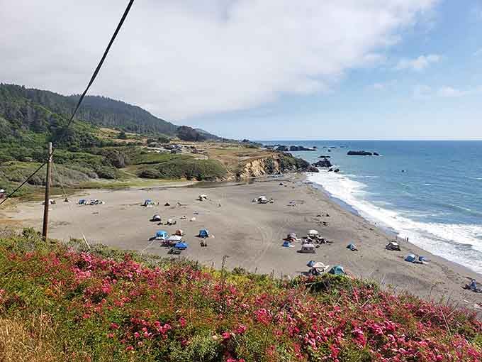 Vibrant pink blooms cascade down the bluff above dark sand beaches where the Pacific puts on a show.