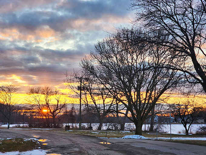 Winter's palette paints the sky in sherbet colors, bare branches silhouetted against nature's spectacular light show.