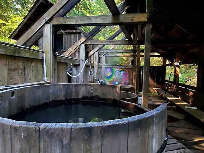 These rustic wooden tubs offer the ultimate forest spa experience, where earth-heated water meets old-fashioned pioneer ingenuity perfectly.