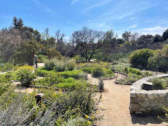 Winding paths through native plants prove that California's natural beauty needs no imported help whatsoever.
