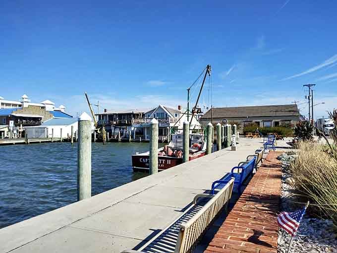 The waterfront walkway with its patriotic benches offers front-row seats to watch fishing boats return with the day's fresh catch.