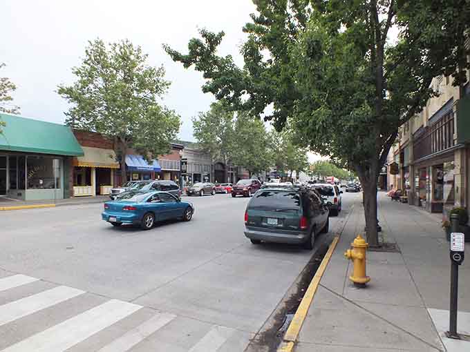 Those mature trees lining the sidewalks have witnessed generations of small-town stories unfold beneath their shade.