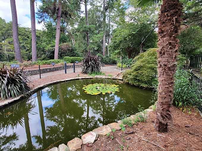 That textured palm trunk tells decades of stories while lily pads create their own floating garden below.
