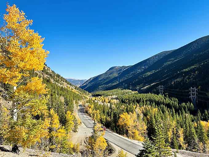 Aspens glow like liquid gold along this mountain corridor where fall puts on its finest performance every year.