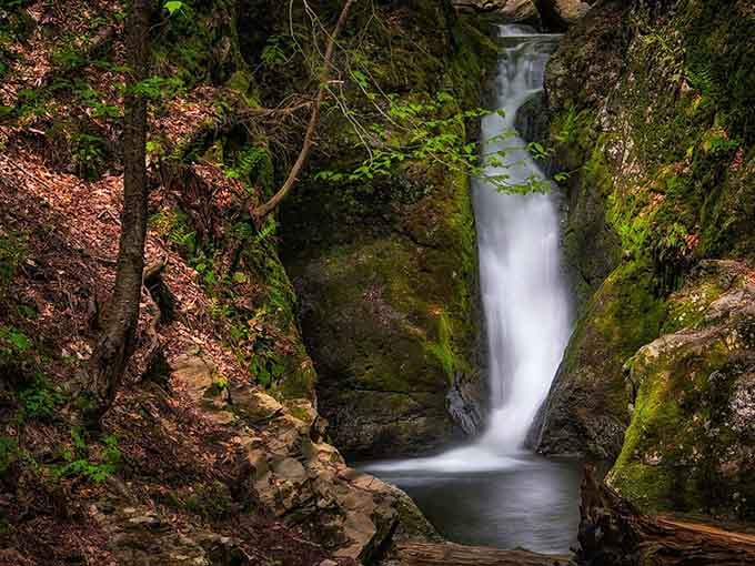 A ribbon of white water plunges into a dark pool surrounded by vibrant green vegetation and towering rocks.