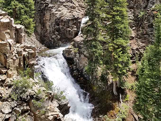 Summer sunshine highlights the powerful flow, white water contrasting beautifully against dark granite walls.