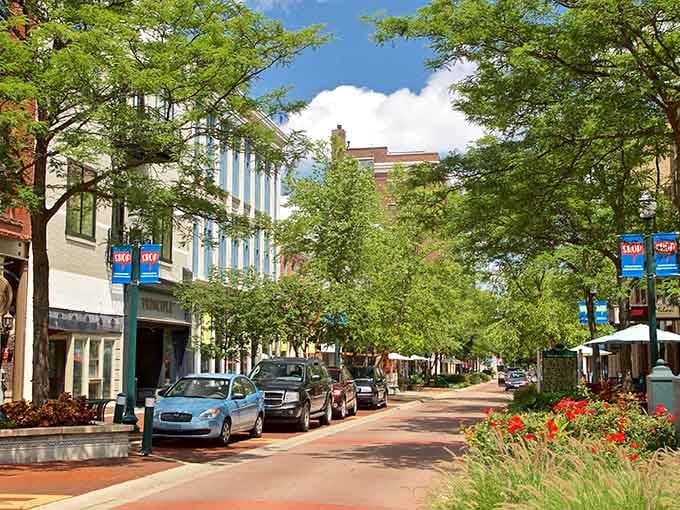 Tree canopies arch over downtown streets like natural umbrellas, filtering sunlight onto sidewalks perfect for leisurely strolls.