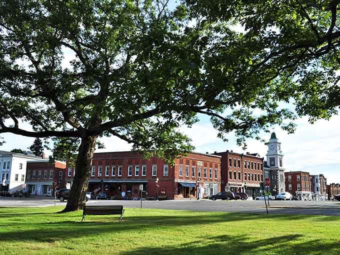 That magnificent oak tree spreads its branches over the town green like a natural umbrella of shade.
