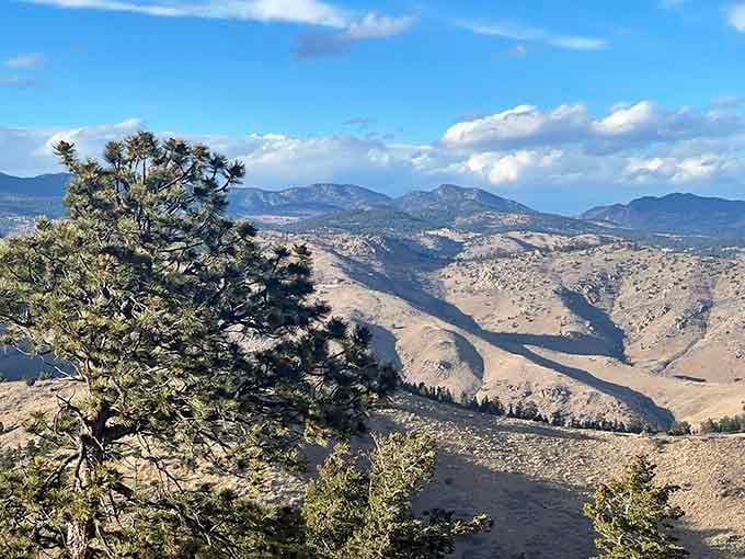 Twisted juniper trees cling to rocky slopes while distant peaks create layers of blue fading into horizon.