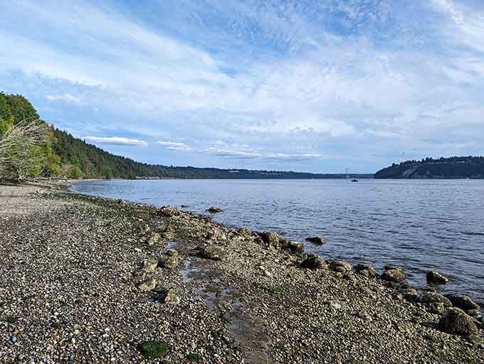 Rocky shoreline meets gentle waves, creating the kind of tranquil scene that makes you forget the city's nearby.