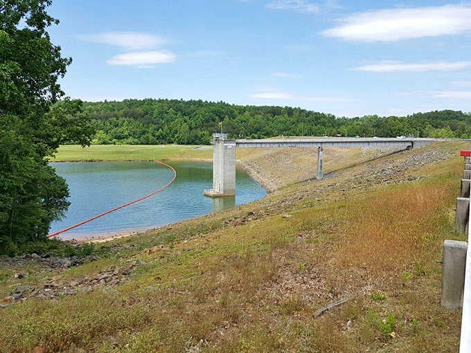 Beautiful Upper Yadkin Way vistas await you, featuring a calm reservoir and a striking bridge nestled within a lush forest.