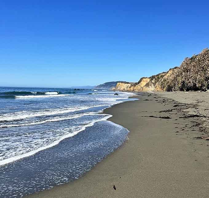 Dramatic cliffs meet pristine sand along this remote stretch where civilization feels wonderfully far away.