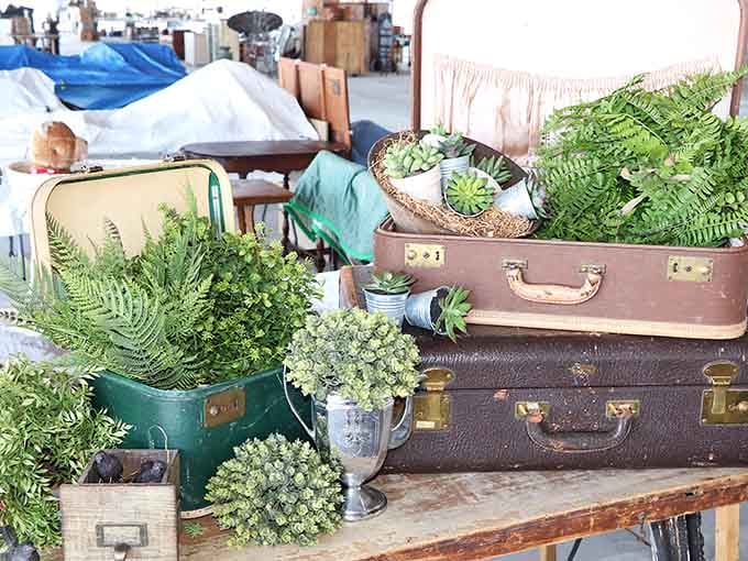 Vintage suitcases repurposed as planters prove that creativity and sustainability make excellent bedfellows in decorating.