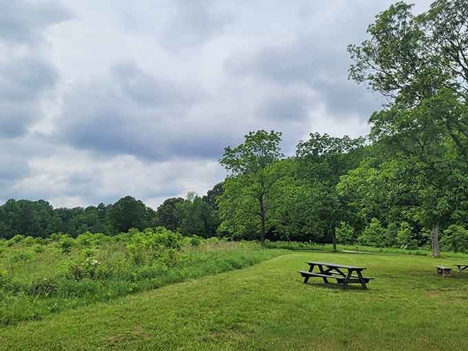 Storm clouds gathering over meadows and picnic spots remind us that dramatic skies make everything more photogenic.