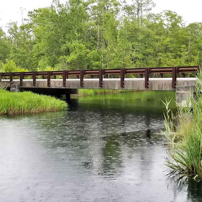 Bridges like this connect you to landscapes that most people only see in coffee table books about wild places.