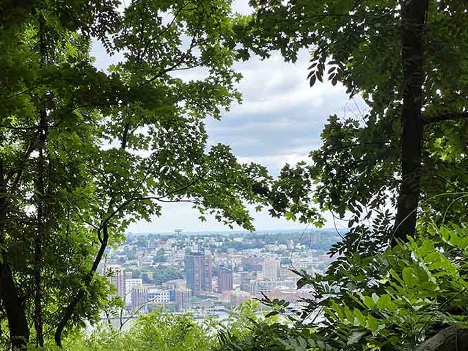 Peek through the trees and there's the city, reminding you that wilderness and civilization coexist beautifully here.