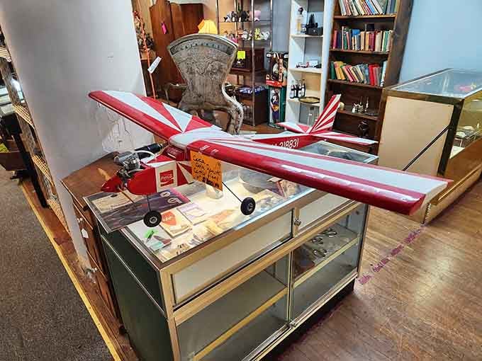 A model airplane soaring above display cases, adding whimsy to this already delightful browsing experience.
