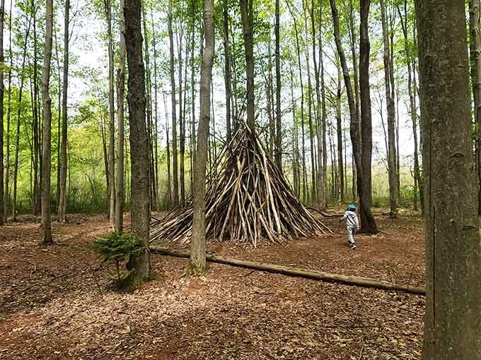 Someone built a giant stick teepee in the woods, and honestly, it's cooler than most modern art installations.