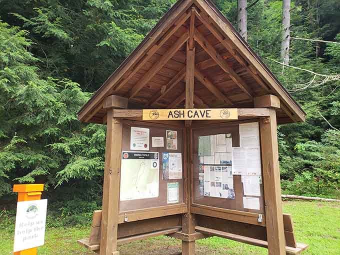 The information kiosk stands ready to answer questions, though the cave itself tells stories words can't quite capture.