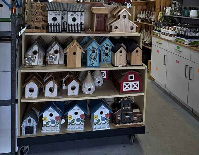 Handcrafted birdhouses line the shelves, ready to give your feathered friends the cutest real estate in town.
