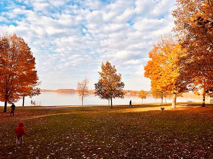 Autumn transforms the park into a postcard, proving Minnesota does fall colors better than your neighbor's expensive vacation photos suggest.