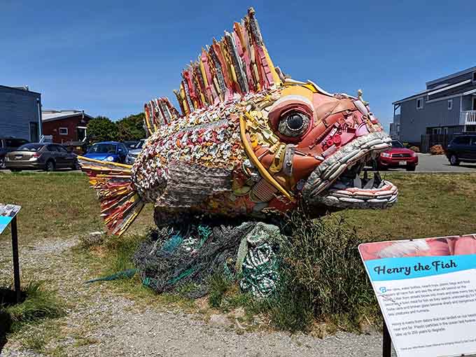 Washed Ashore's recycled art fish proves one person's trash really can become everyone's treasure.