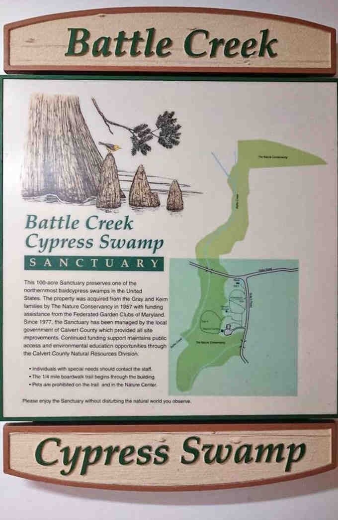This map shows you're exploring one of the northernmost cypress swamps in America, right here in Calvert County.