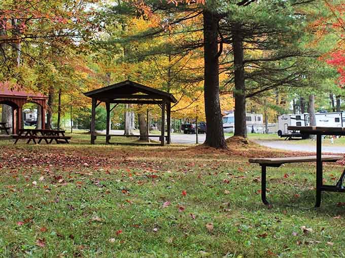 Bellefonte Campground's pavilions offer shaded spots perfect for picnics, naps, or contemplating why you don't do this more often.
