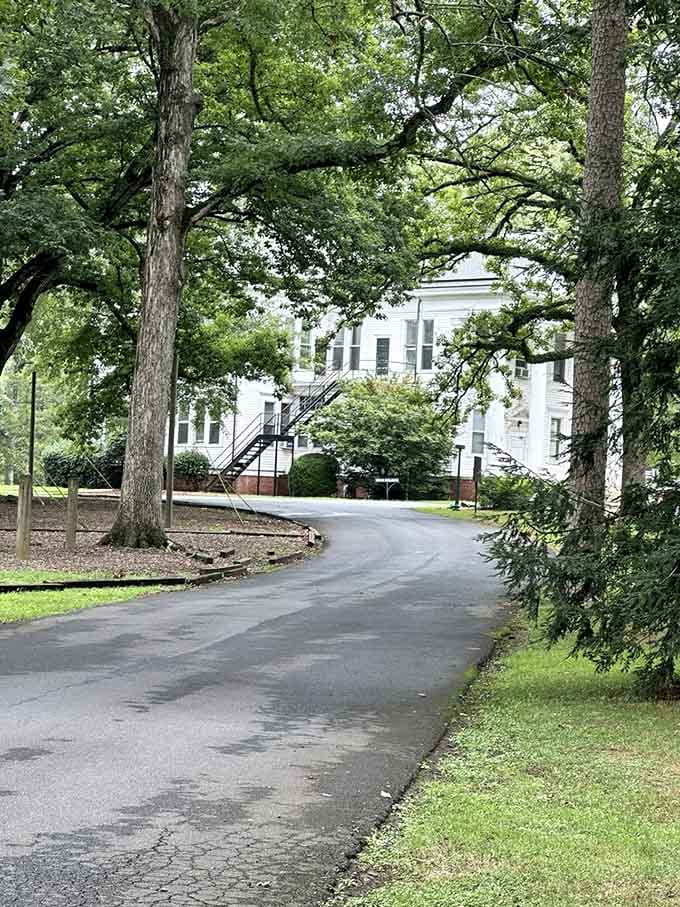 Tree-lined pathways that make you want to slow down, breathe deep, and appreciate the simple beauty of a campus stroll.