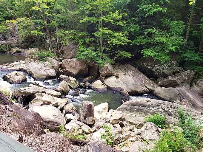 Rocky streams and dense forest create scenery that makes your screensaver look downright embarrassed by comparison.