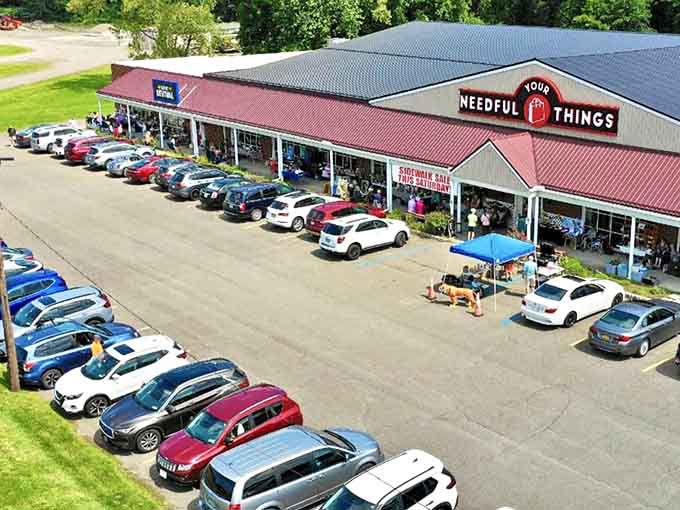 That parking lot tells you everything: when treasure hunters gather, they come prepared for serious shopping.