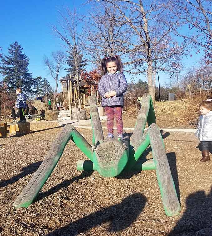 Spider-web climbing structures let kids test their limits safely, creating memories of conquering challenges they'll remember forever.
