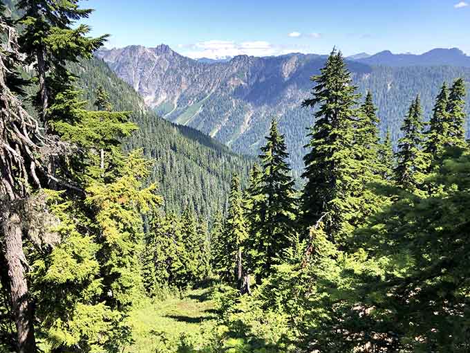 Mountain vistas peek through the trees, teasing hikers with glimpses of the dramatic scenery awaiting them.