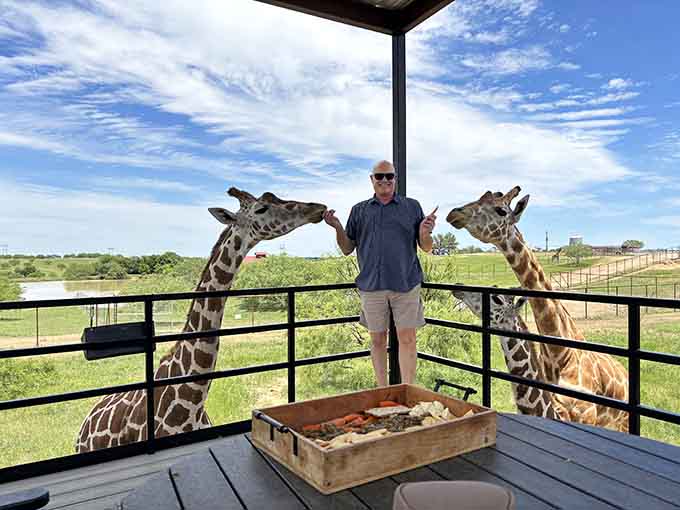 When breakfast guests arrive with necks longer than your entire body, you realize this beats room service at any hotel.
