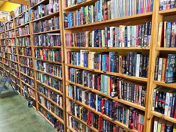 Mystery novels stacked deep enough to keep you guessing through winter, spring, and possibly into next year's reading resolution.