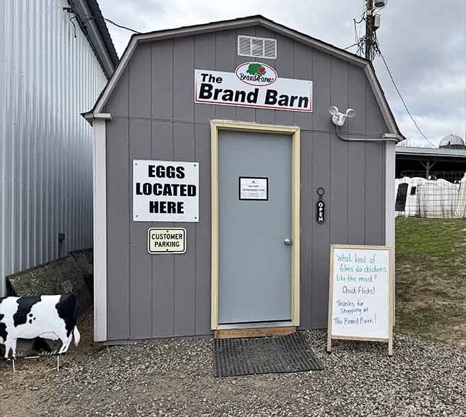 The Brand Barn houses fresh eggs, connecting visitors directly to the source of their breakfast ingredients.