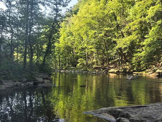 Peaceful waters reflecting the forest canopy create the kind of scene that makes you forget your phone exists.