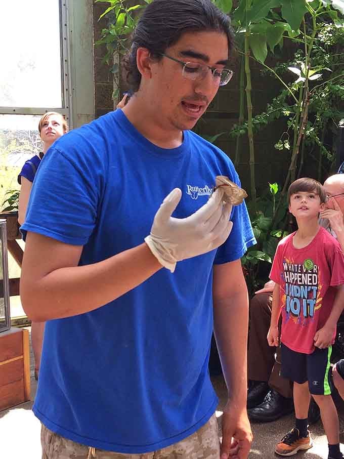 Staff members share their passion for invertebrates with infectious enthusiasm that makes bugs suddenly seem fascinating.