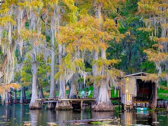 Waterfront structures blend seamlessly into the landscape, offering launching points for your journey into the cypress forest beyond.