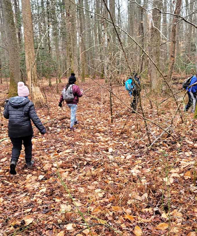 Fellow explorers discover the forest's secrets, proving adventure looks good on everyone who tries it.