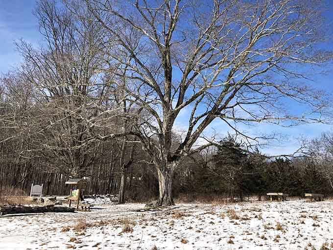 Winter transforms the landscape into a peaceful snow globe scene without the tourist crowds.