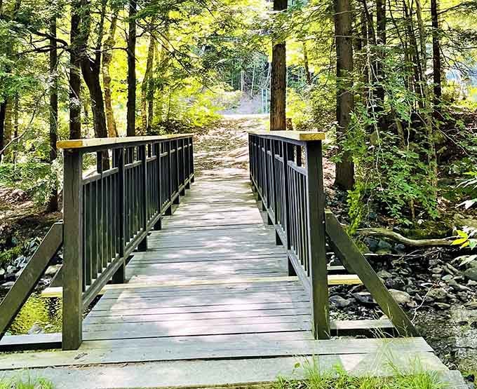 This bridge leads somewhere beautiful, or at least away from whatever you're currently avoiding.