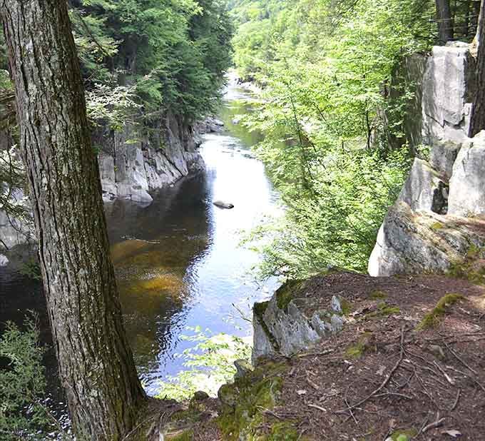 Summer's lush greenery softens the dramatic rock walls, creating a perfect balance of power and beauty.